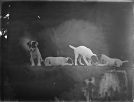 State Library Victoria – Ruth Hollick and early Australian fashion ...