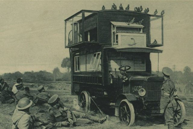 State Library Victoria – Pigeon messengers of World War I