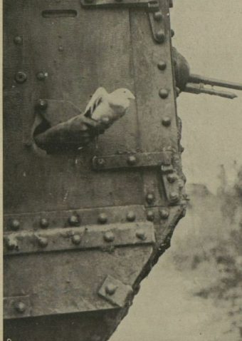 State Library Victoria – Pigeon messengers of World War I