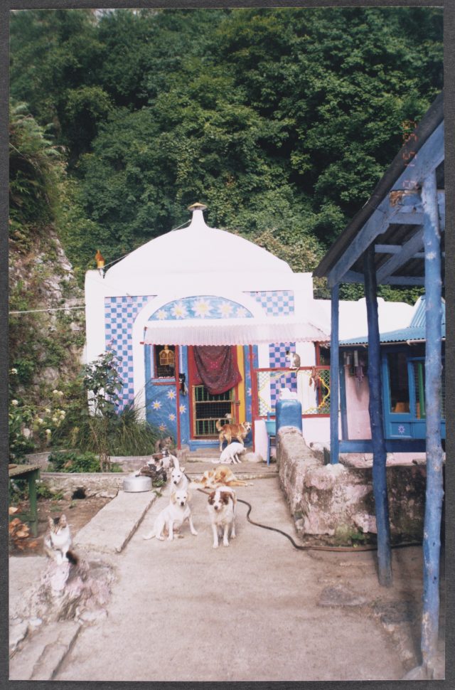 State Library Victoria – Vali Myers: Australian artist