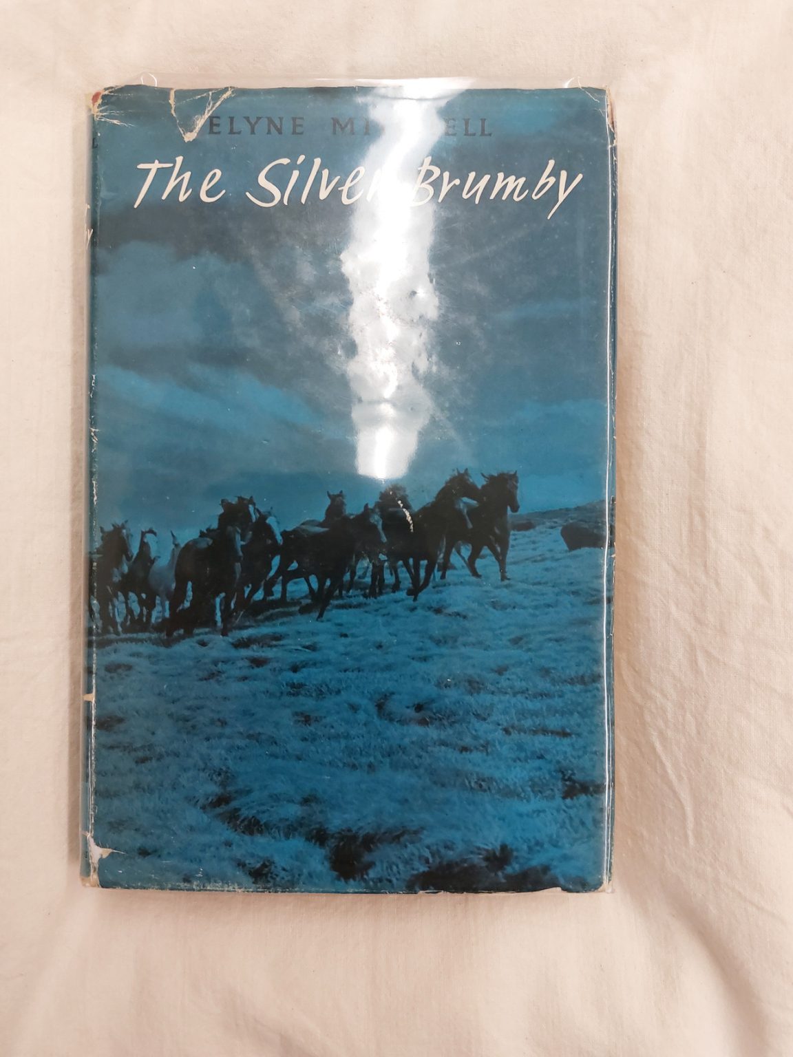 State Library Victoria – Reconnecting with ‘The silver brumby’